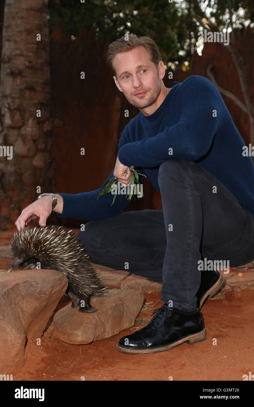 Sydney, Australia. 14th June, 2016. The Legend of Tarzan actor ...