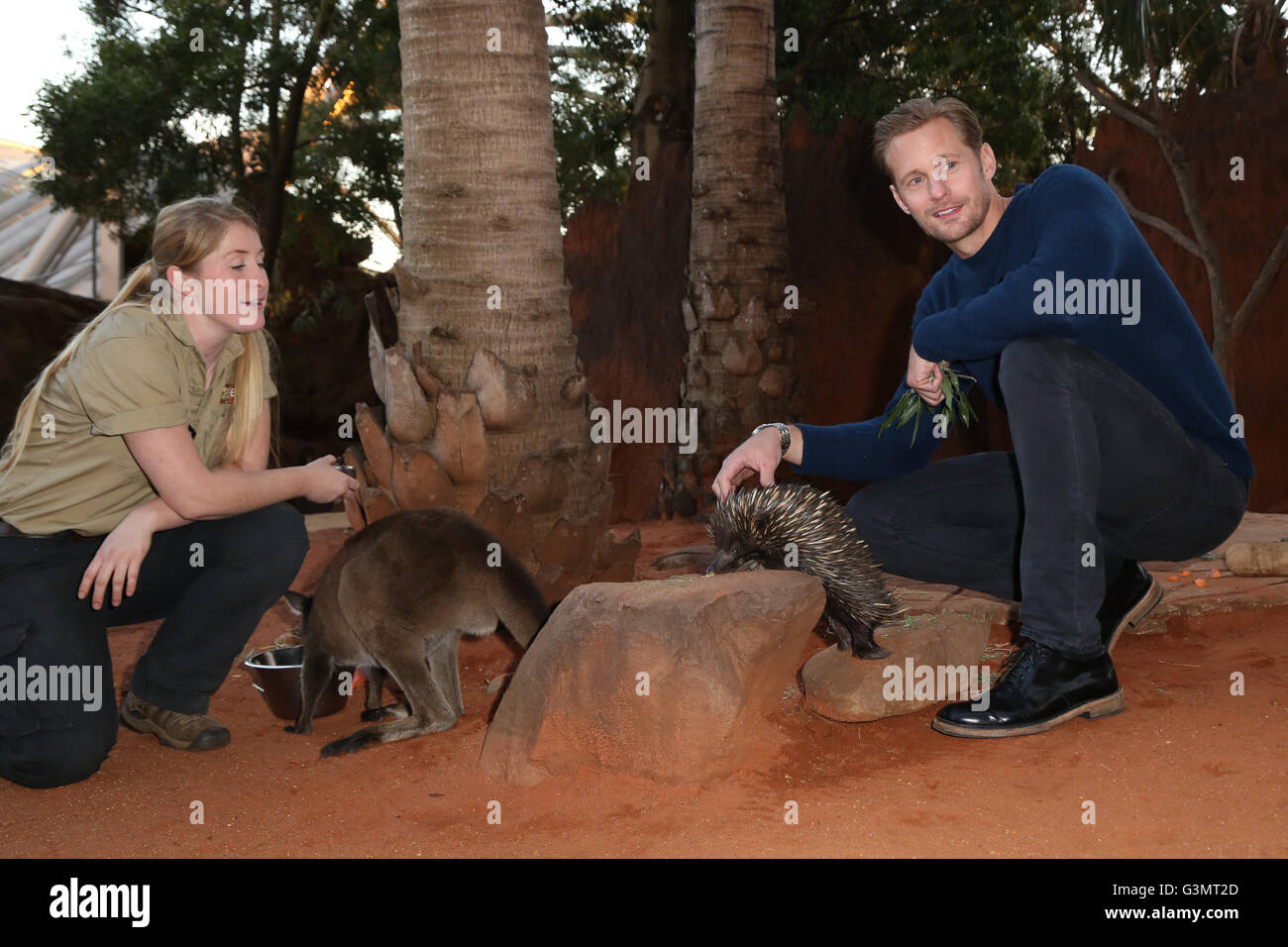 Sydney, Australia. 14th June, 2016. The Legend of Tarzan actor ...