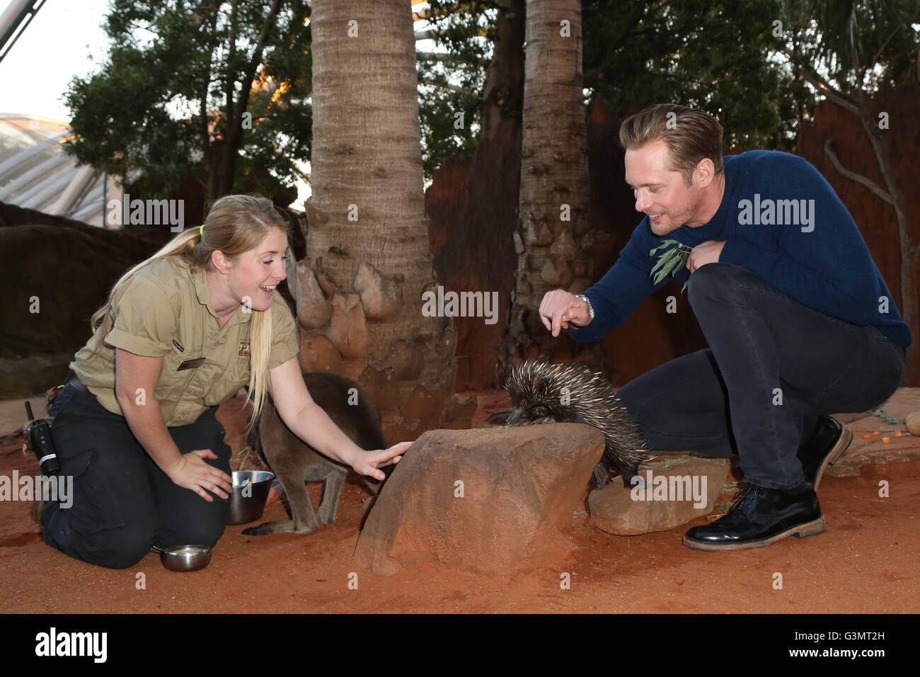 Sydney, Australia. 14th June, 2016. The Legend of Tarzan actor ...