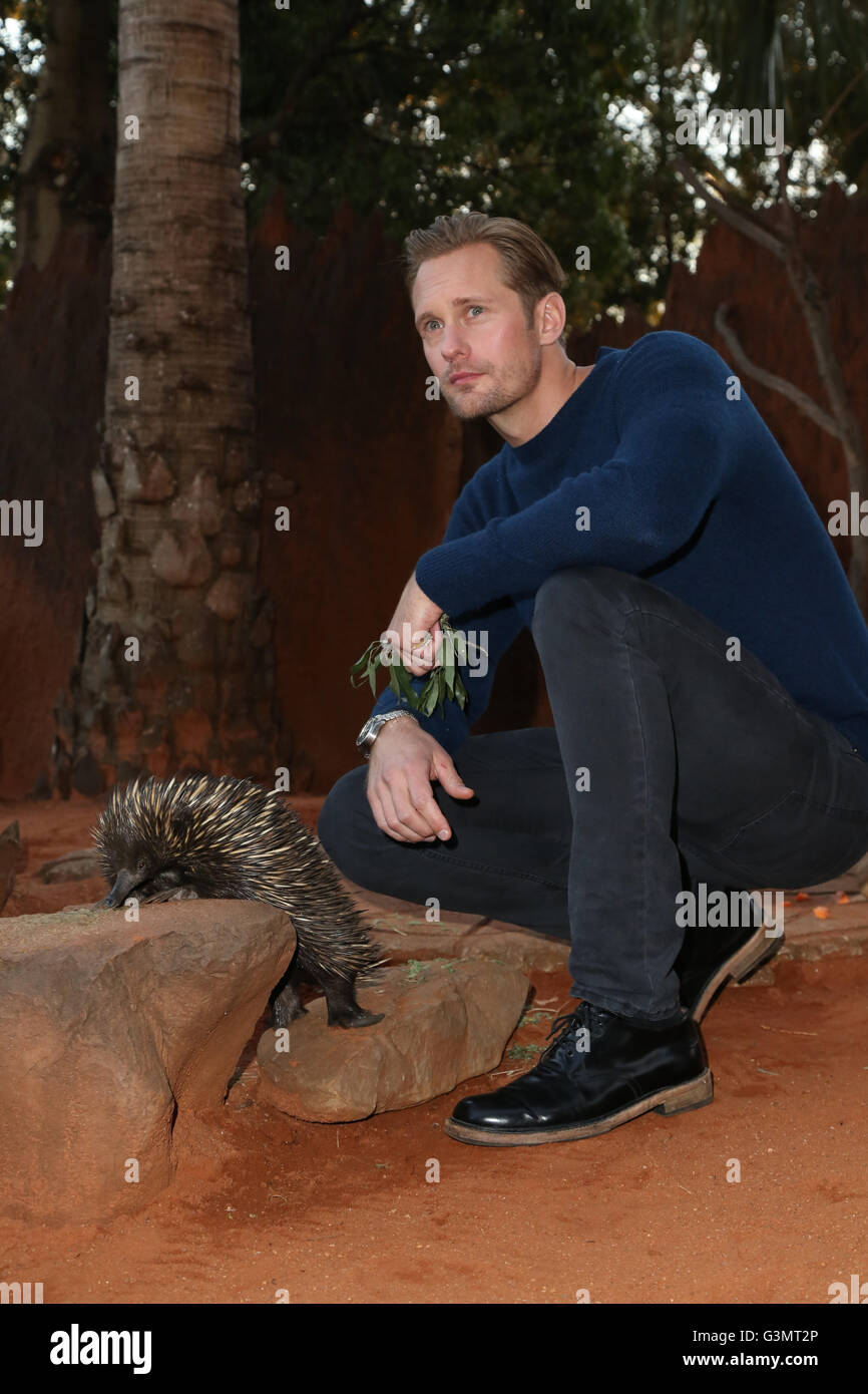 Sydney, Australia. 14th June, 2016. The Legend of Tarzan actor ...