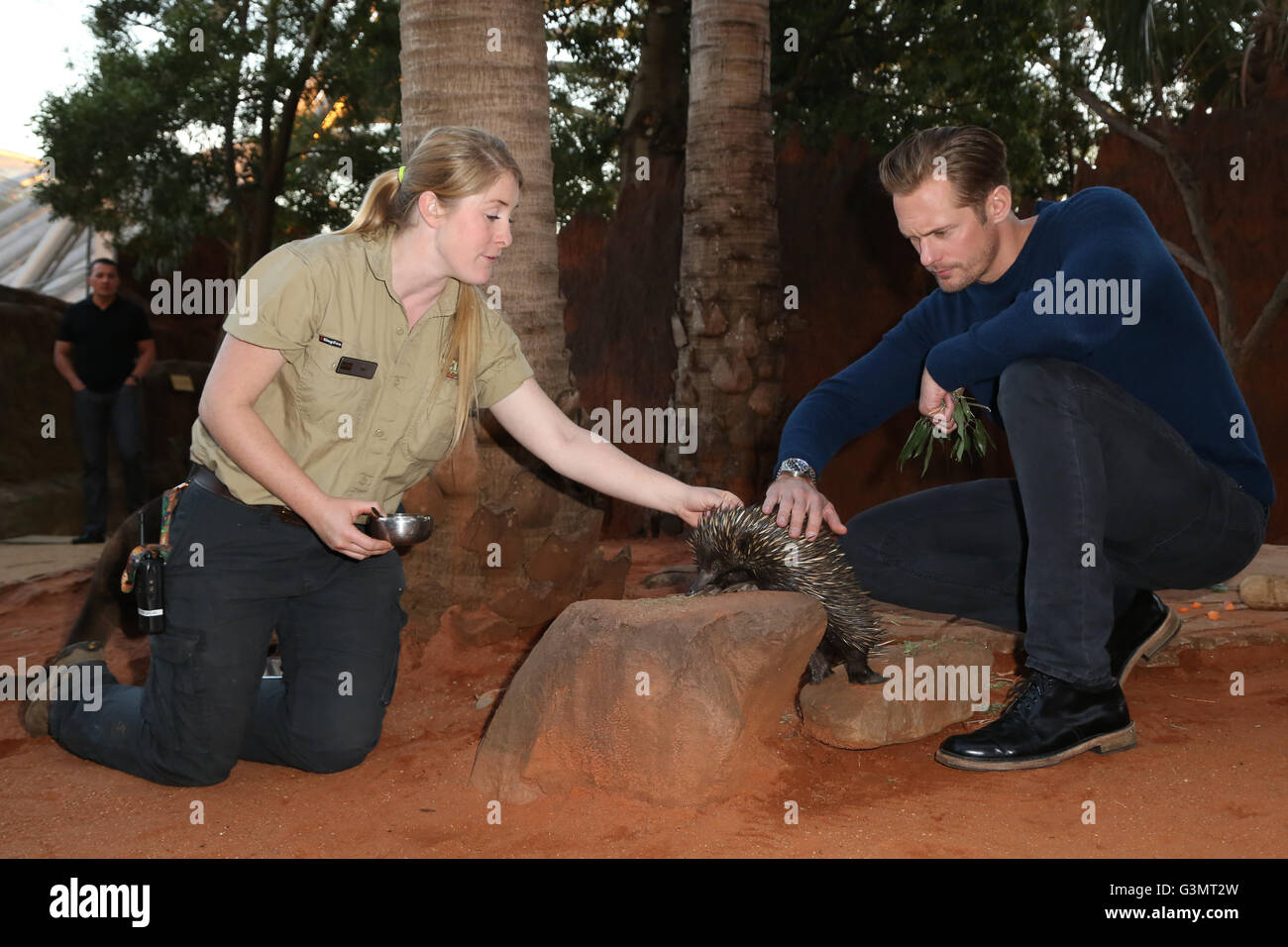 Sydney, Australia. 14th June, 2016. The Legend of Tarzan actor ...