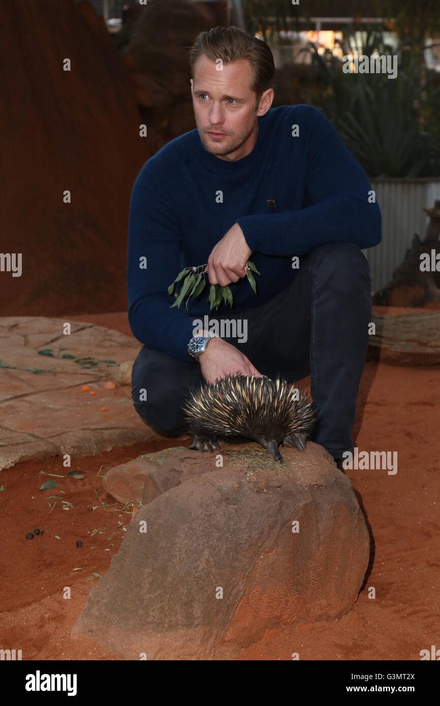 Sydney, Australia. 14th June, 2016. The Legend of Tarzan actor ...