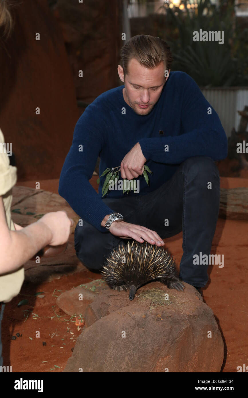 Sydney, Australia. 14th June, 2016. The Legend of Tarzan actor ...