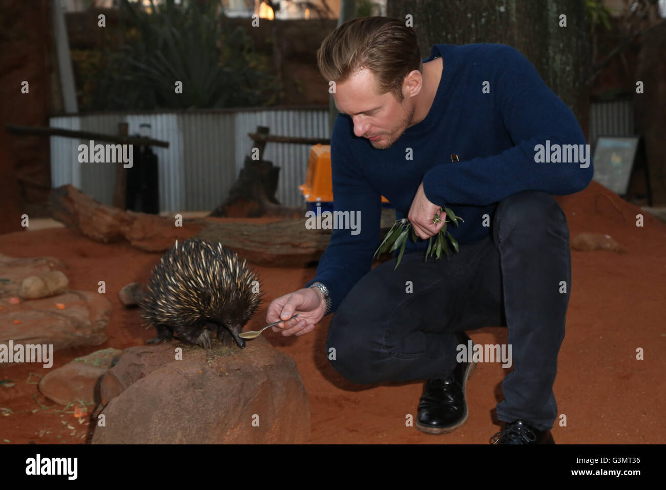 Sydney, Australia. 14th June, 2016. The Legend of Tarzan actor ...