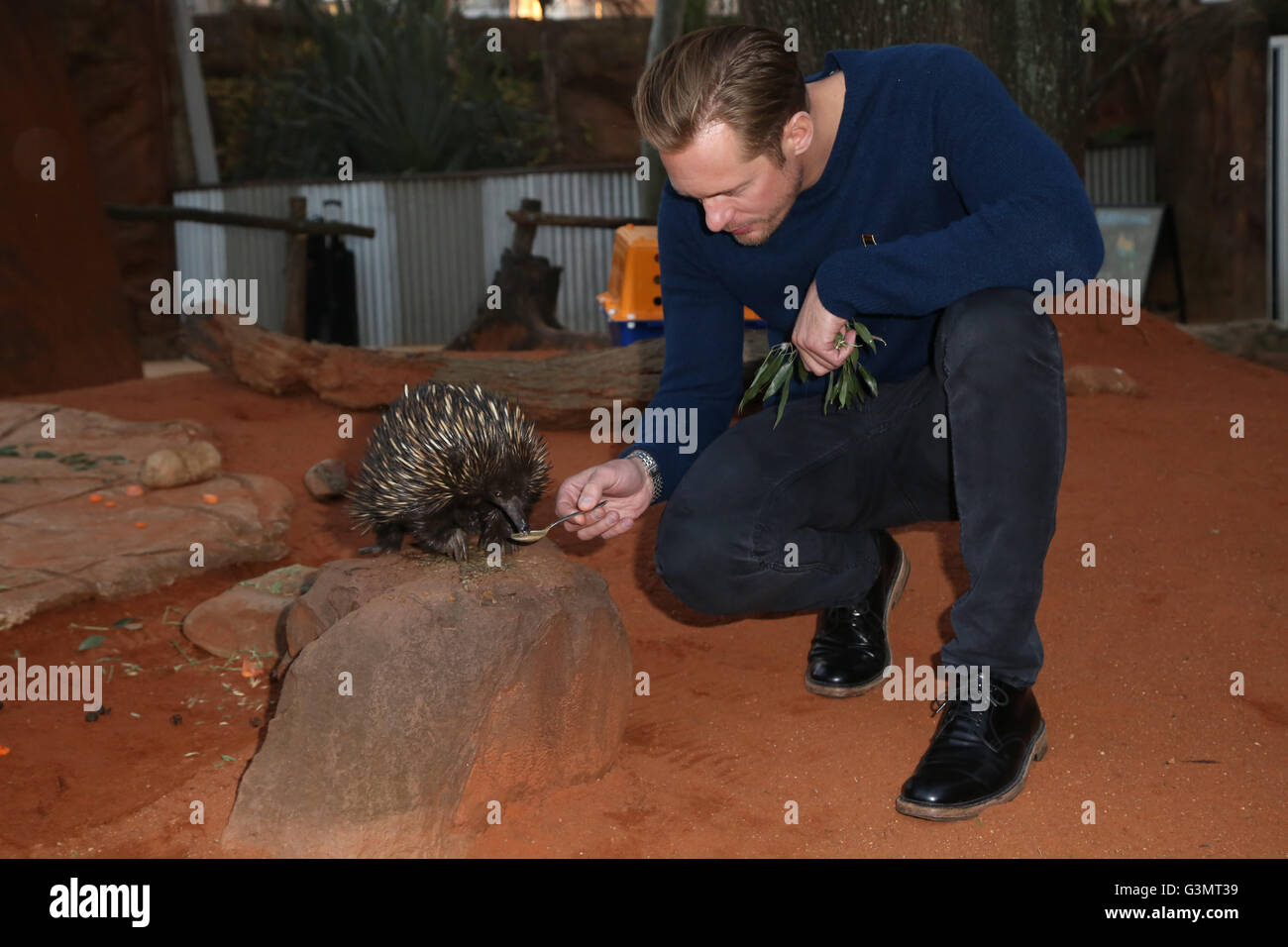 Sydney, Australia. 14th June, 2016. The Legend of Tarzan actor ...