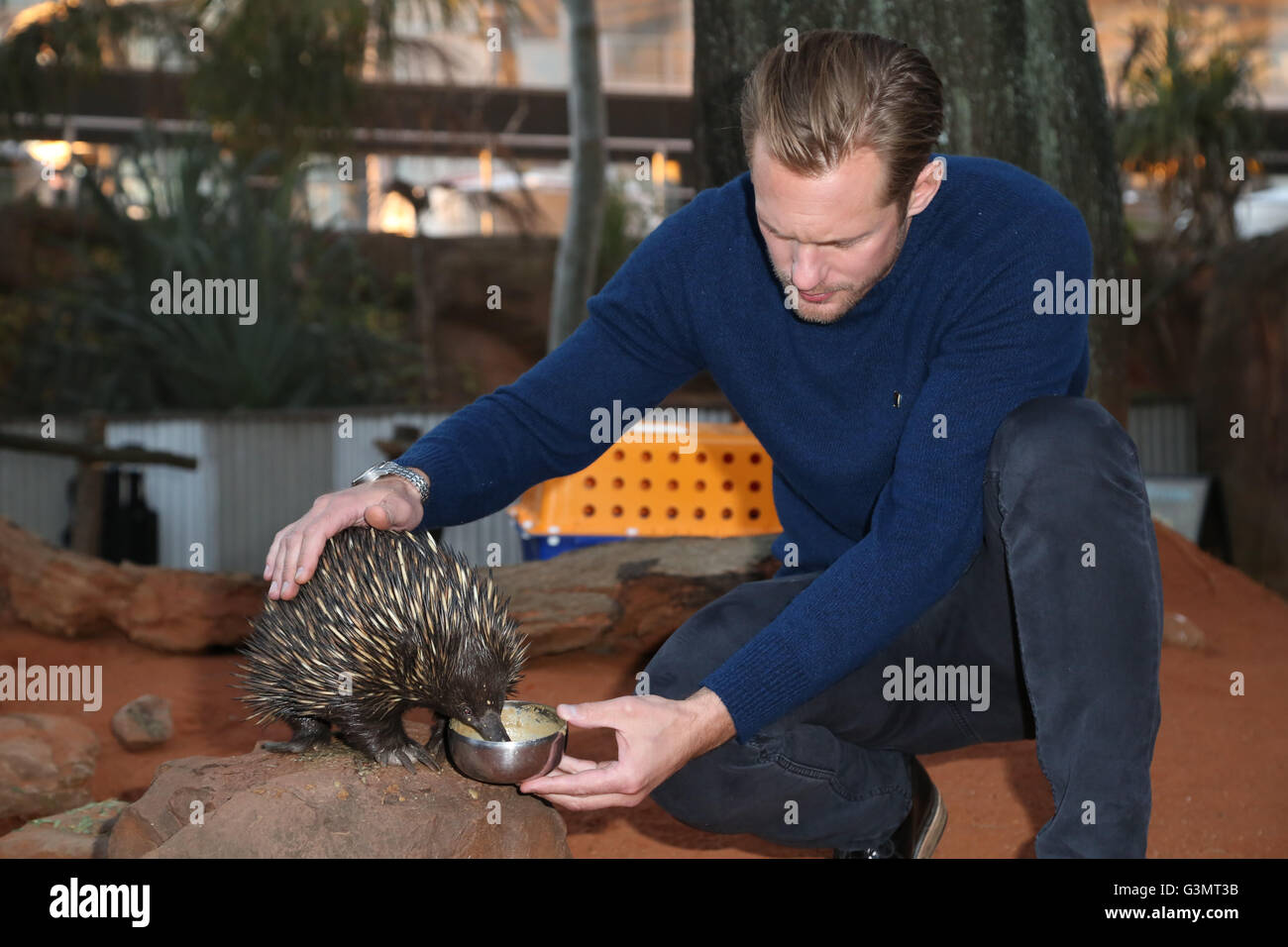 Sydney, Australia. 14th June, 2016. The Legend of Tarzan actor ...