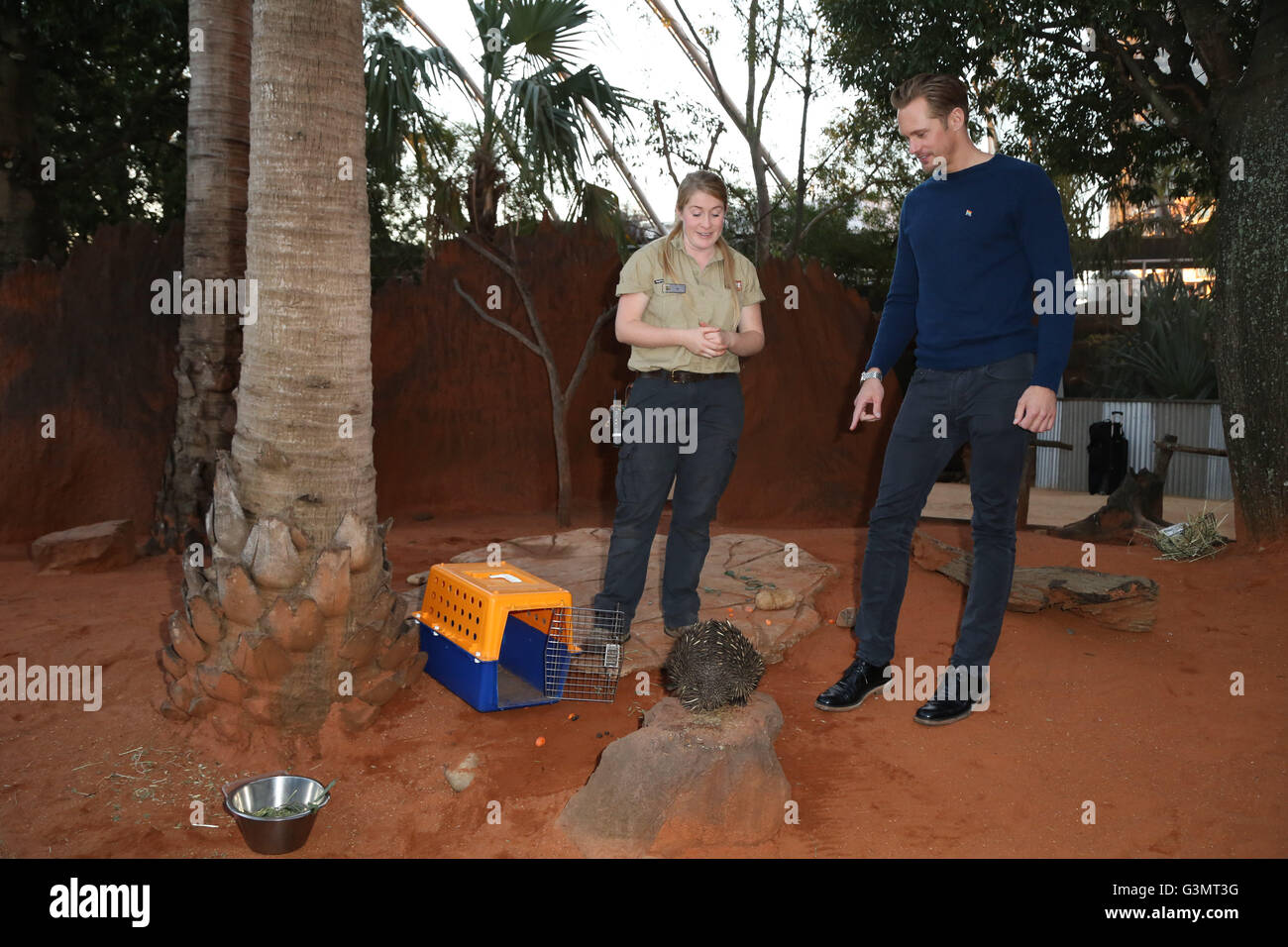Sydney, Australia. 14th June, 2016. The Legend of Tarzan actor ...