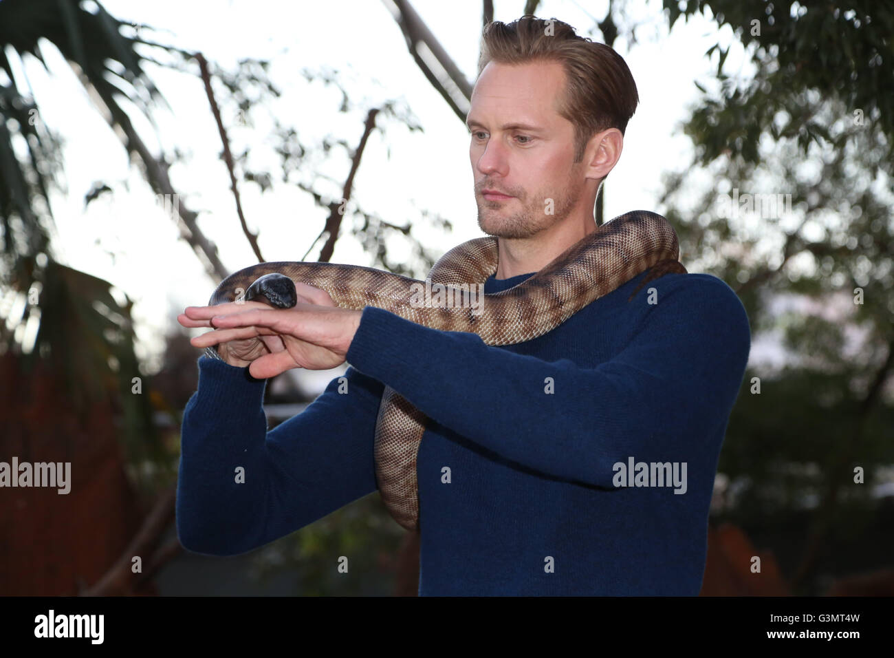 Sydney, Australia. 14th June, 2016. The Legend of Tarzan actor ...