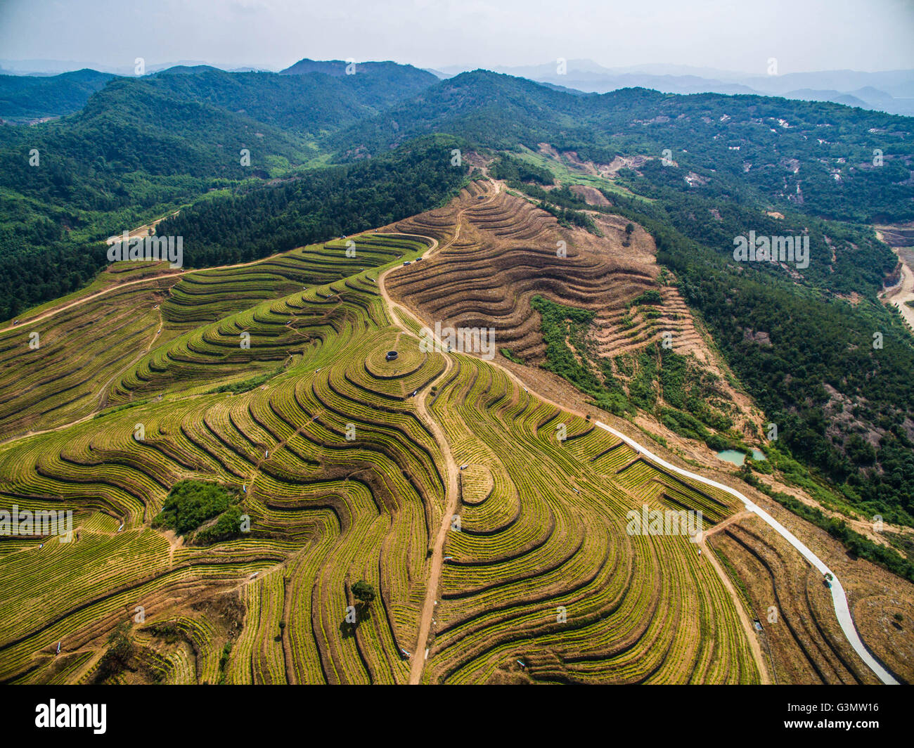 Planed city hi-res stock photography and images - Alamy