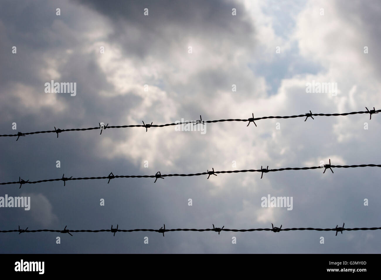 Barbed wire and storm clouds Stock Photo - Alamy