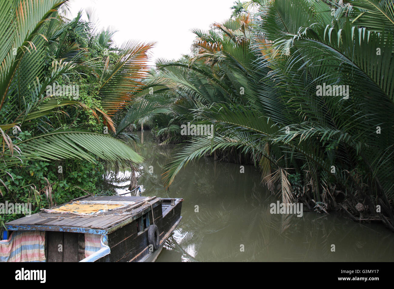 A river lined with palm trees in South Vietnam Stock Photo - Alamy