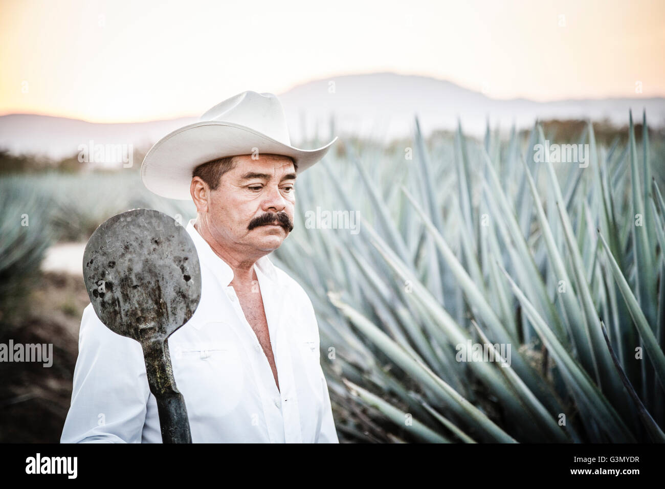 Farmer or Jimador, Ismael, preparing for harvest blue agave, Tequila ...
