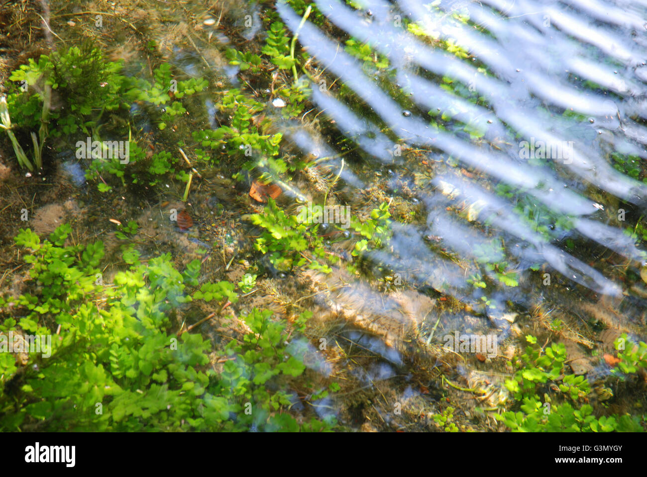 River surface, shallow water. Background Stock Photo - Alamy