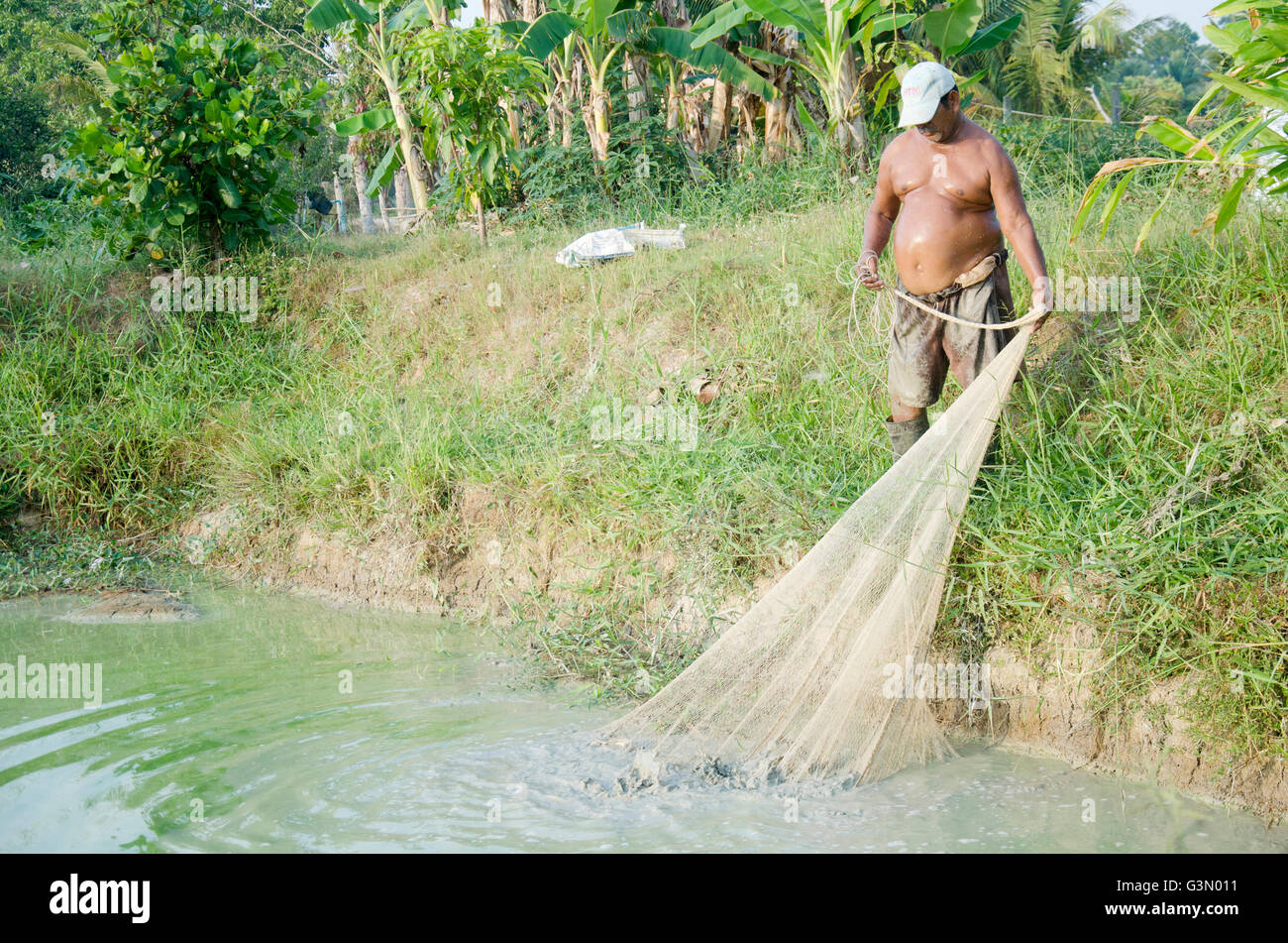 Fisher Old man 60 year old using fishing net catch catfish at ...