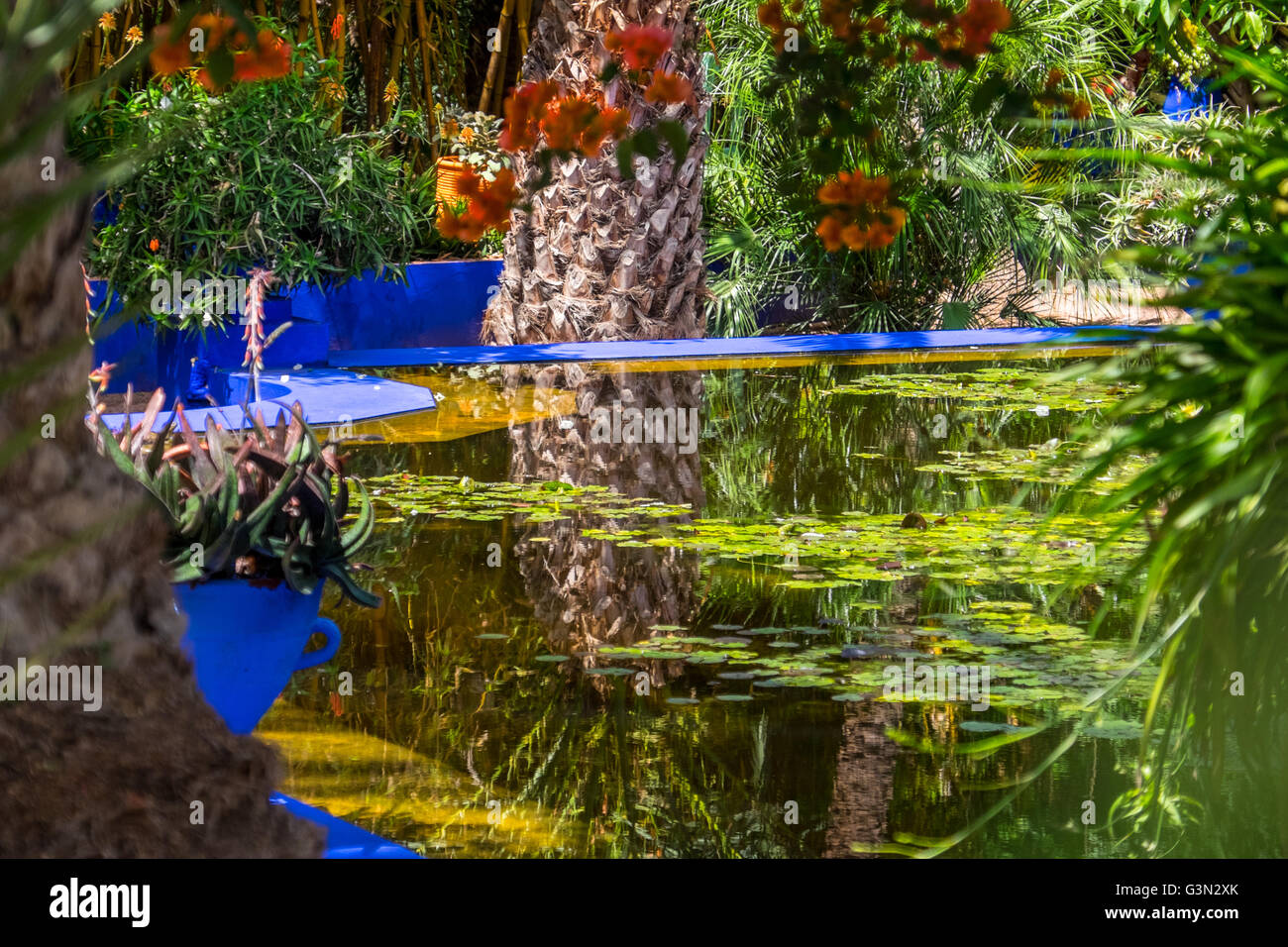 Plants and water in the Majorelle Gardens in Marrakech / MArakesh ...