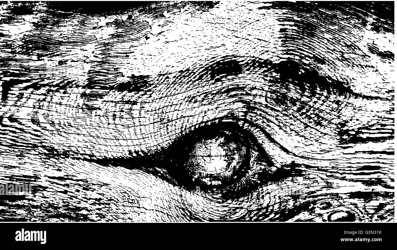 Cross section log white Stock Vector Images - Alamy