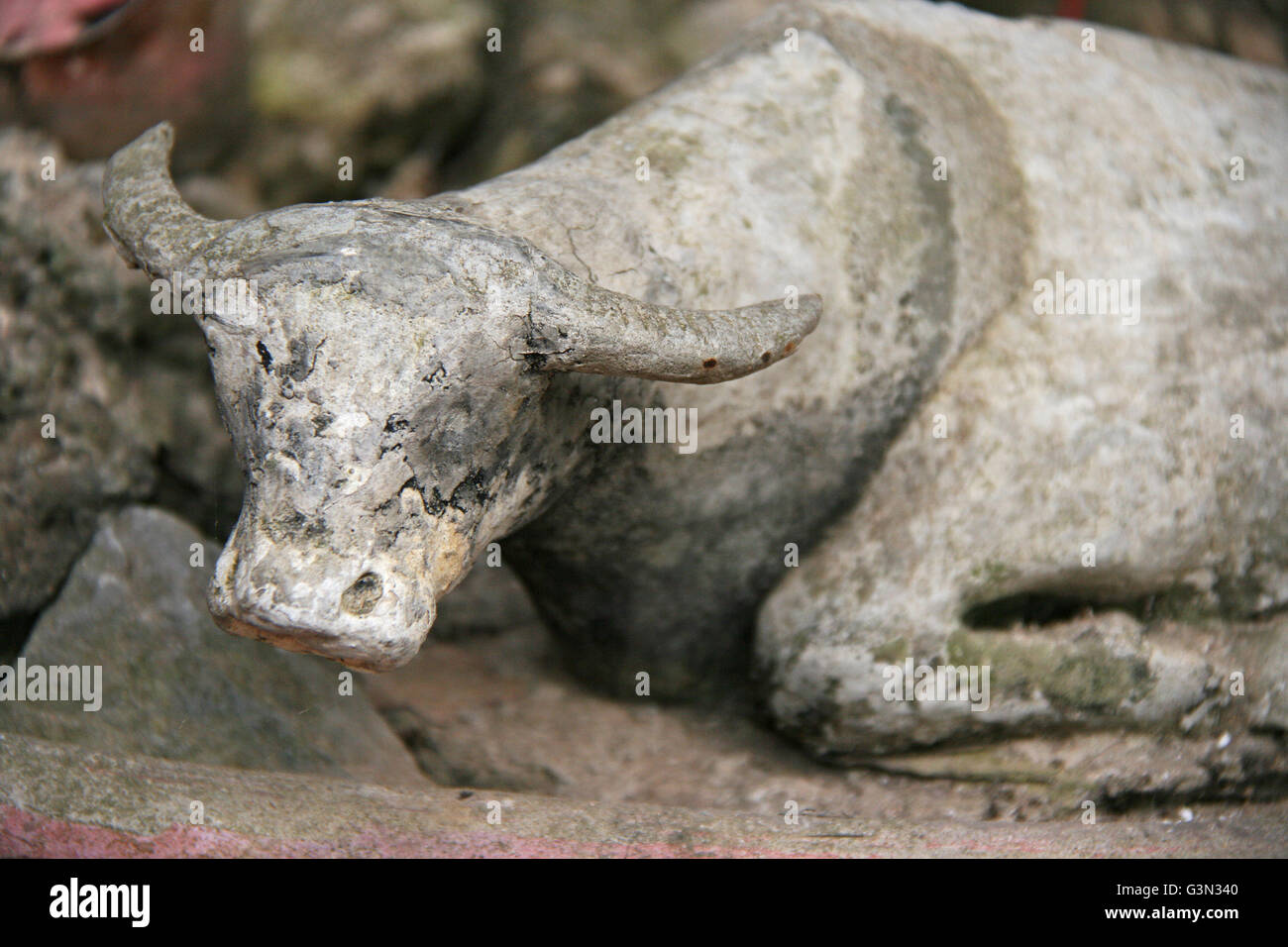 Water buffalo sculpture hi-res stock photography and images - Alamy