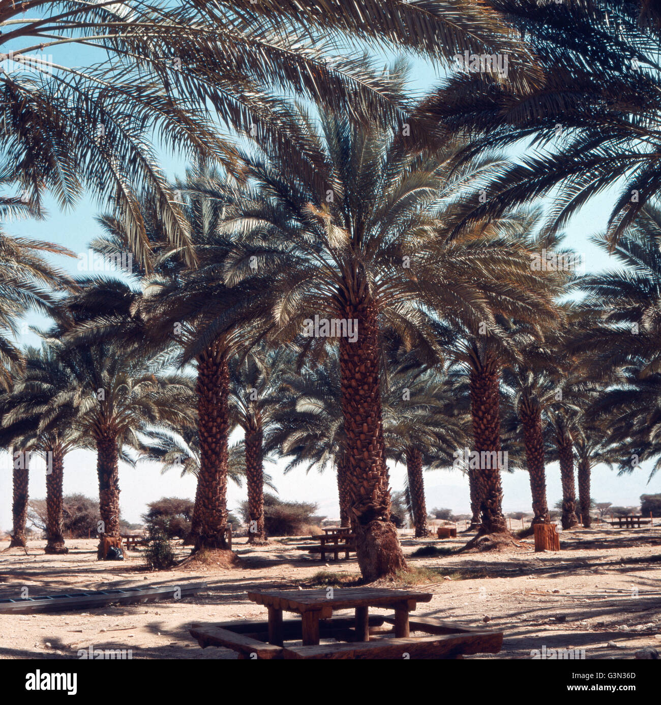 Kibbutz israel 1970s hi-res stock photography and images - Alamy
