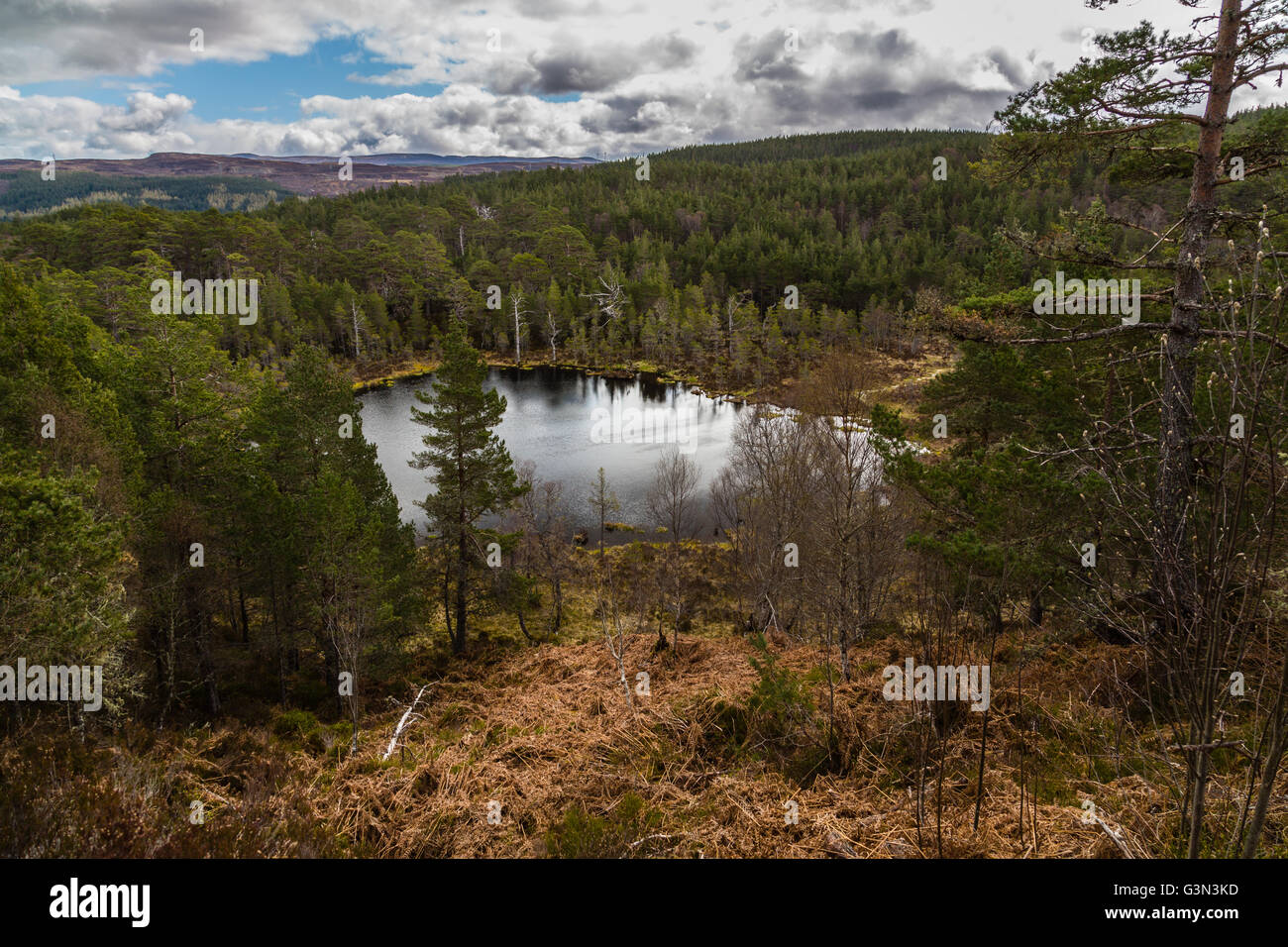 Scottish scenes hi-res stock photography and images - Alamy