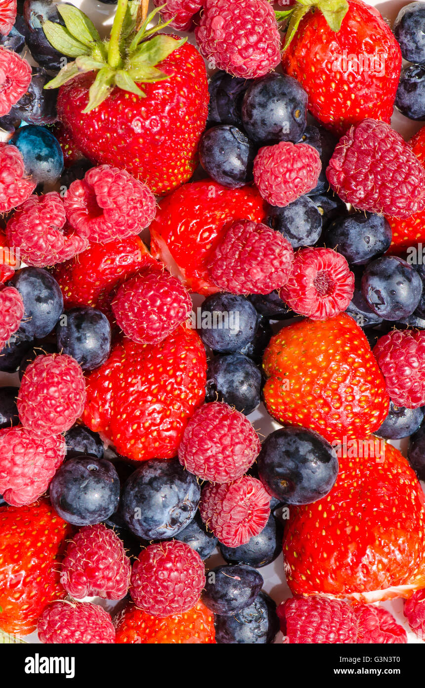 macro detail of red cranberries background Stock Photo - Alamy