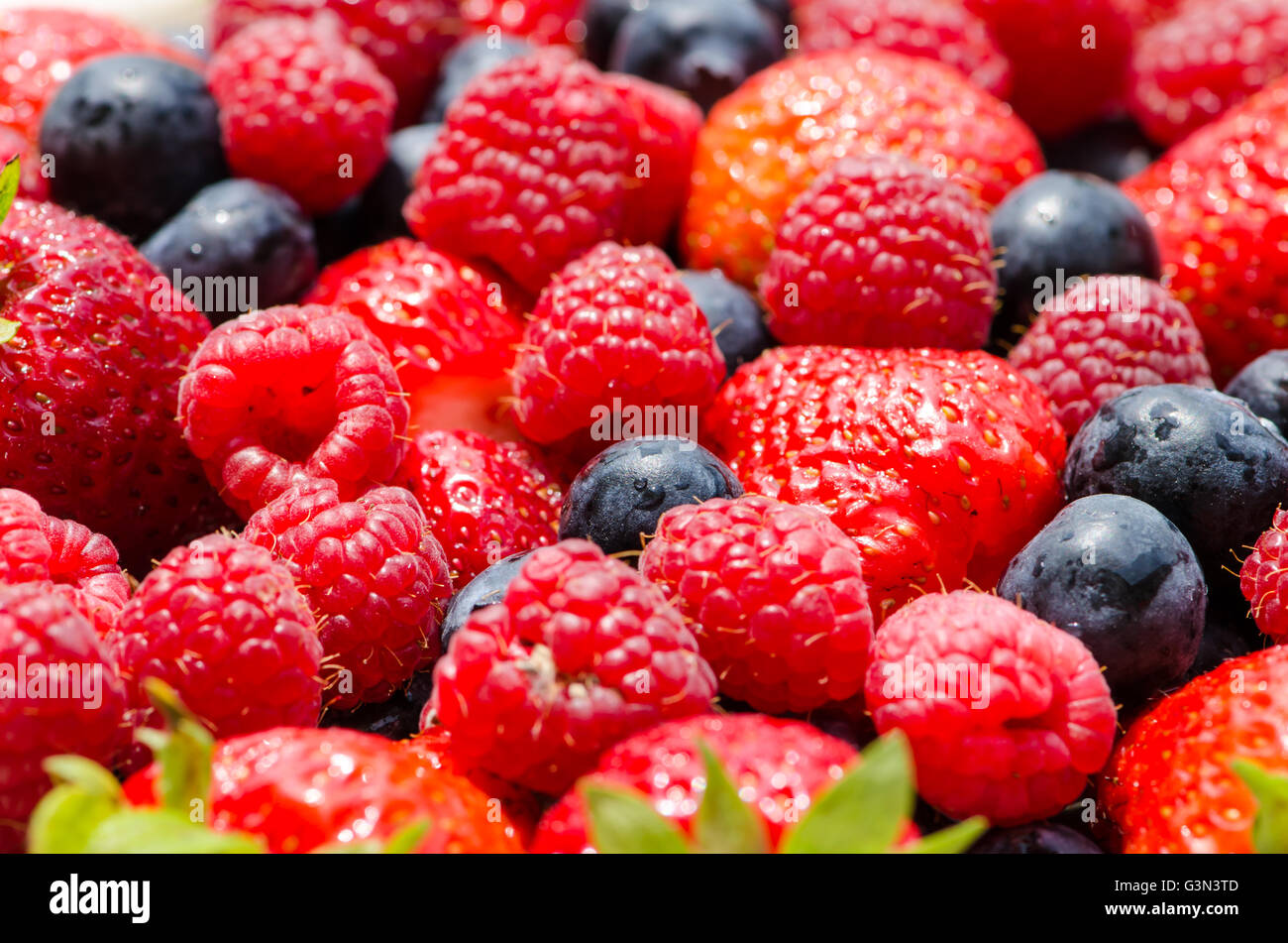macro detail of red cranberries background Stock Photo - Alamy