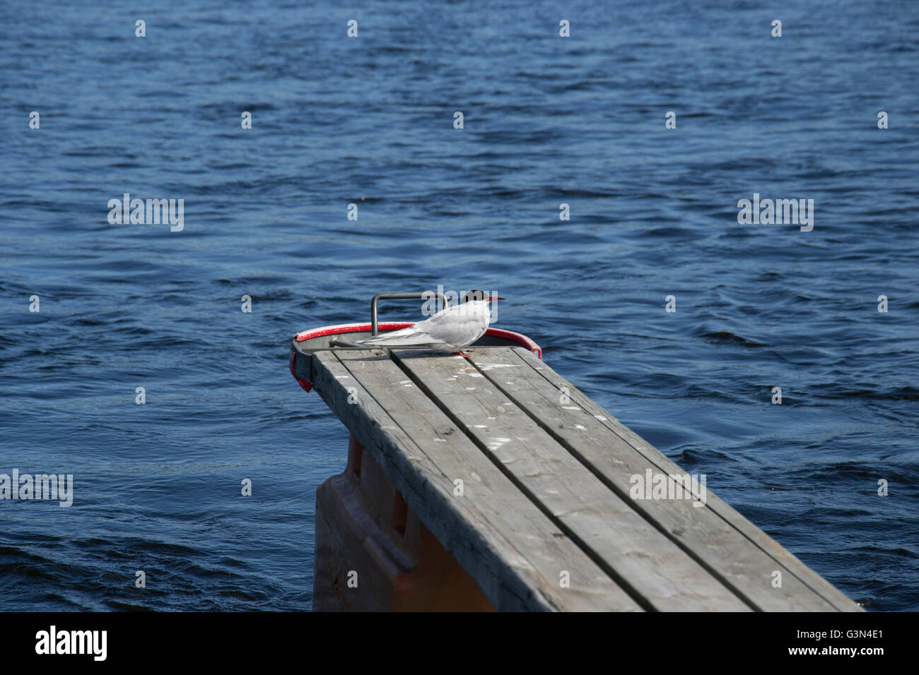 Vigilance boat hi-res stock photography and images - Alamy