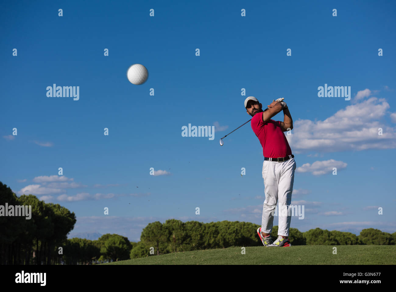 golf player hitting shot with driver on course at beautiful sunny day ...