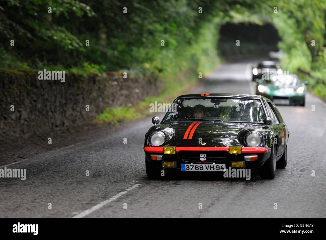 Lotus europa hi-res stock photography and images - Alamy