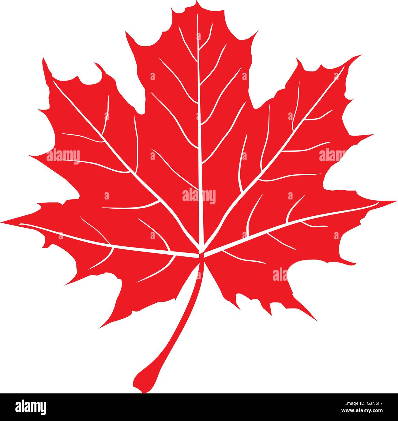vector illustration of red maple leaf Stock Vector Image & Art - Alamy