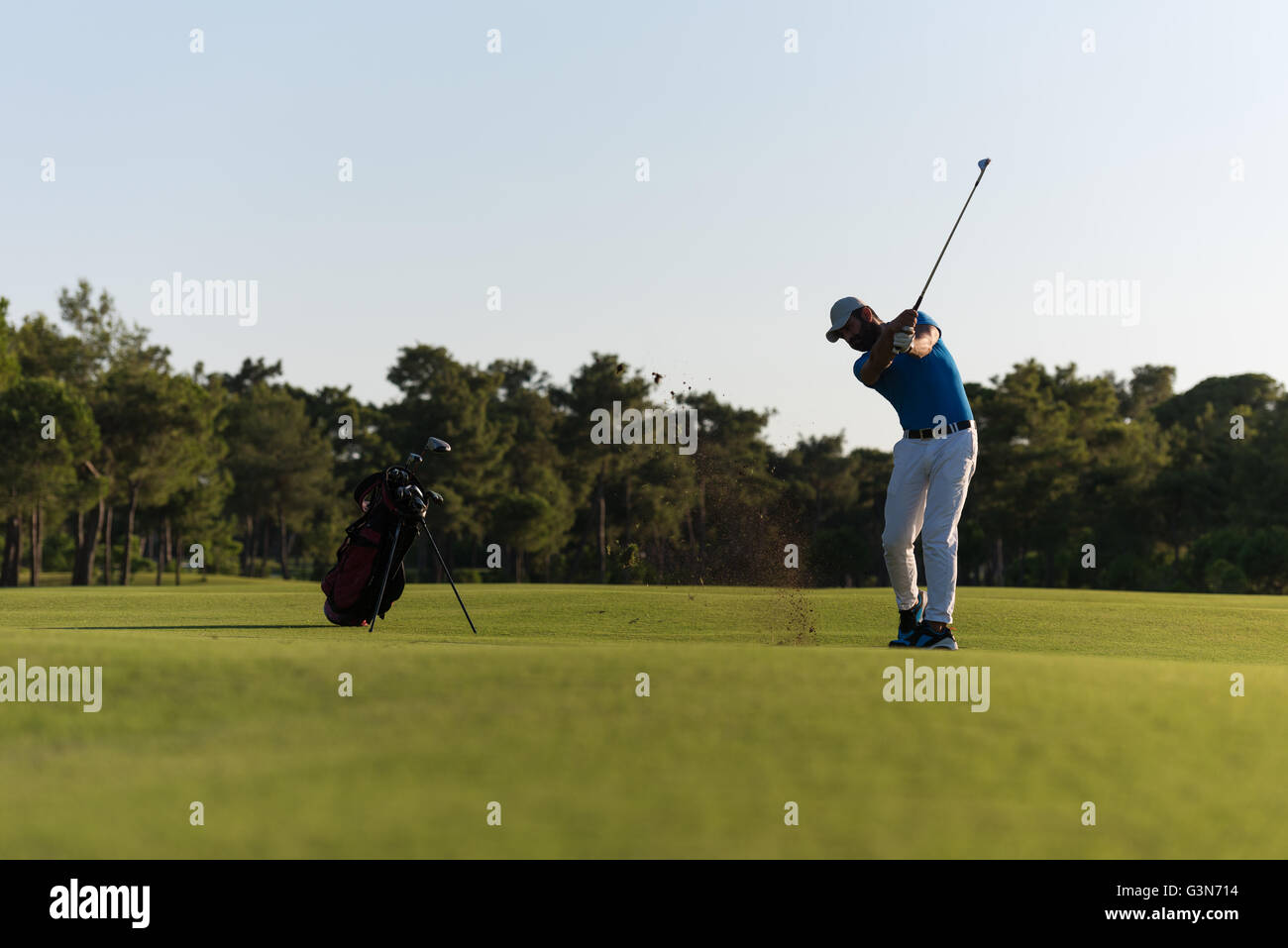golfer hitting long shot with driver on course at beautiful sunset ...