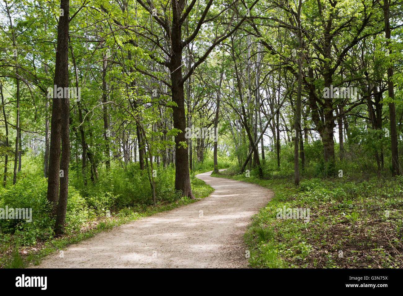 Winding trail hi-res stock photography and images - Alamy