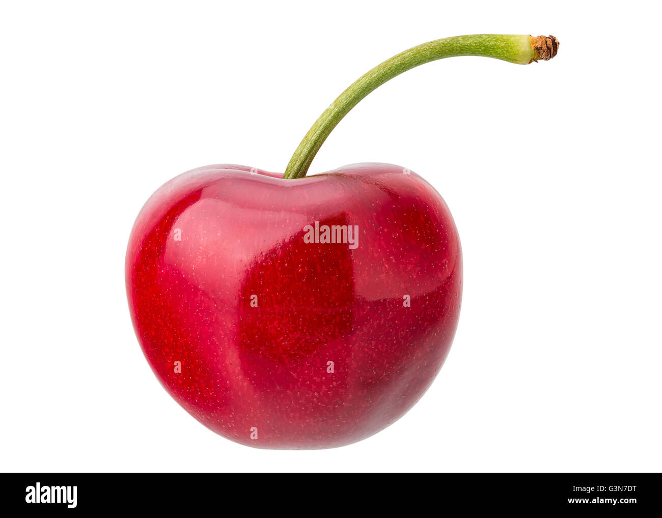 Fresh Red Cherry Isolated on White Background in Full Depth of Field ...