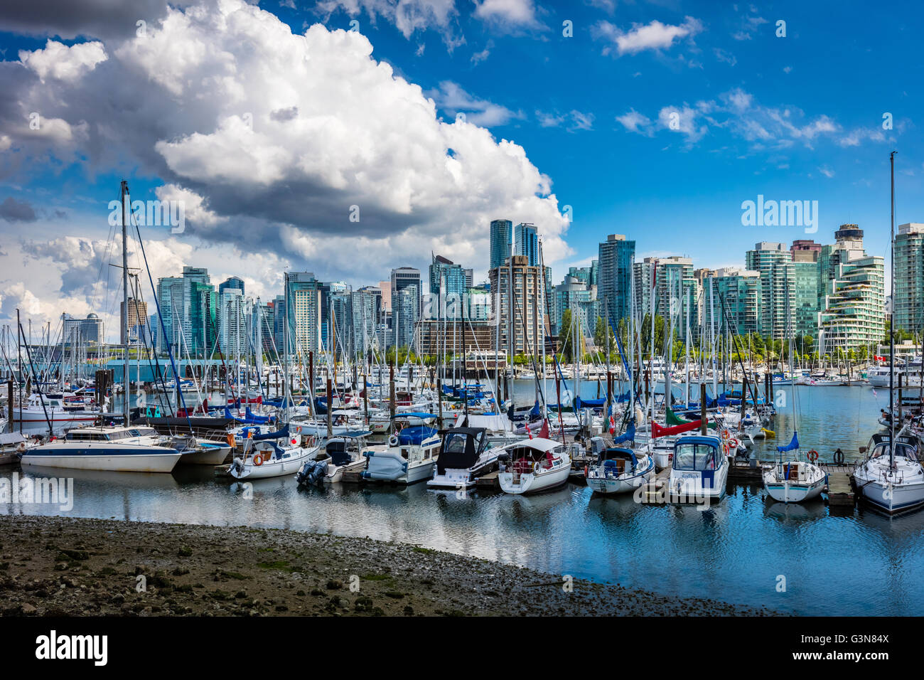 Vancouver is the most populous city in the Canadian province of British ...