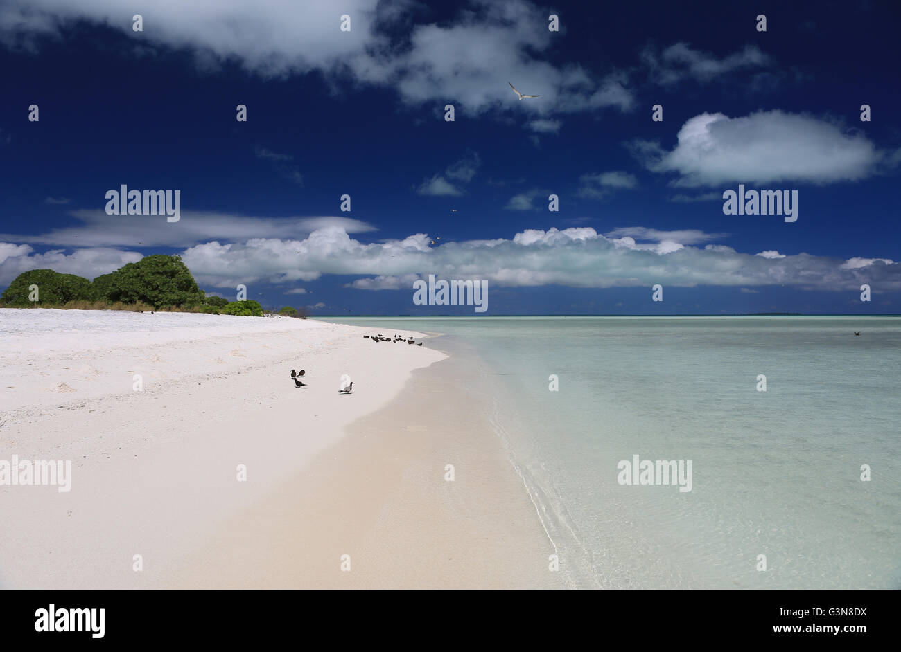 Pristine white sandy beach in Motu Tabu Islet, Christmas Island ...