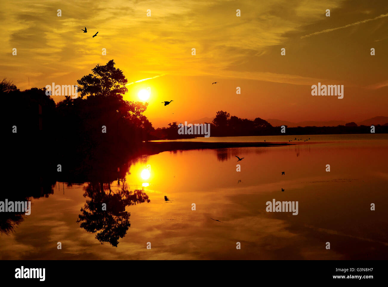 Gujarat india landscape hi-res stock photography and images - Alamy