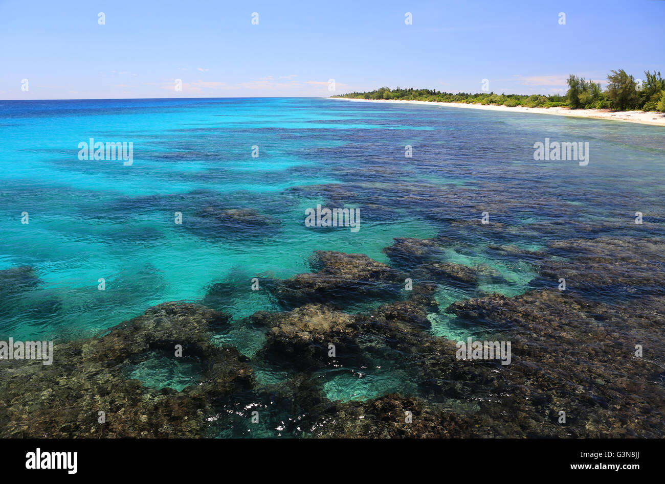 Clear sea water reef in hi-res stock photography and images - Alamy