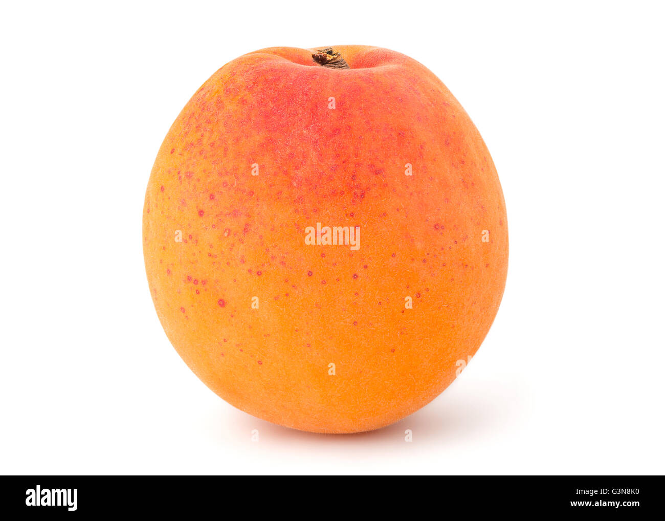 Fresh Yellow Apricot Isolated on White Background in Full Depth of ...