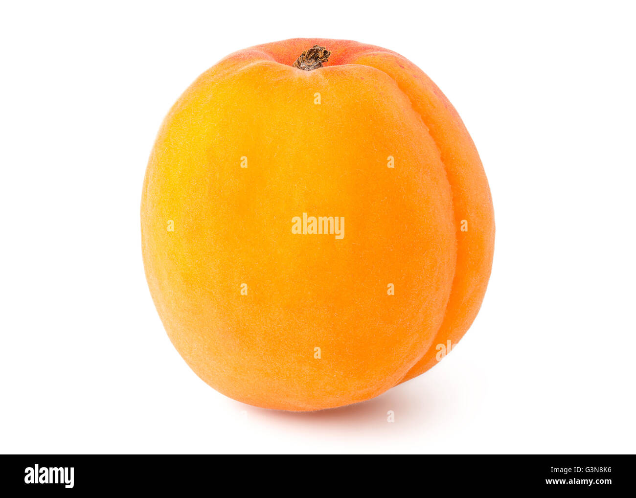 Fresh Yellow Apricot Isolated on White Background in Full Depth of ...