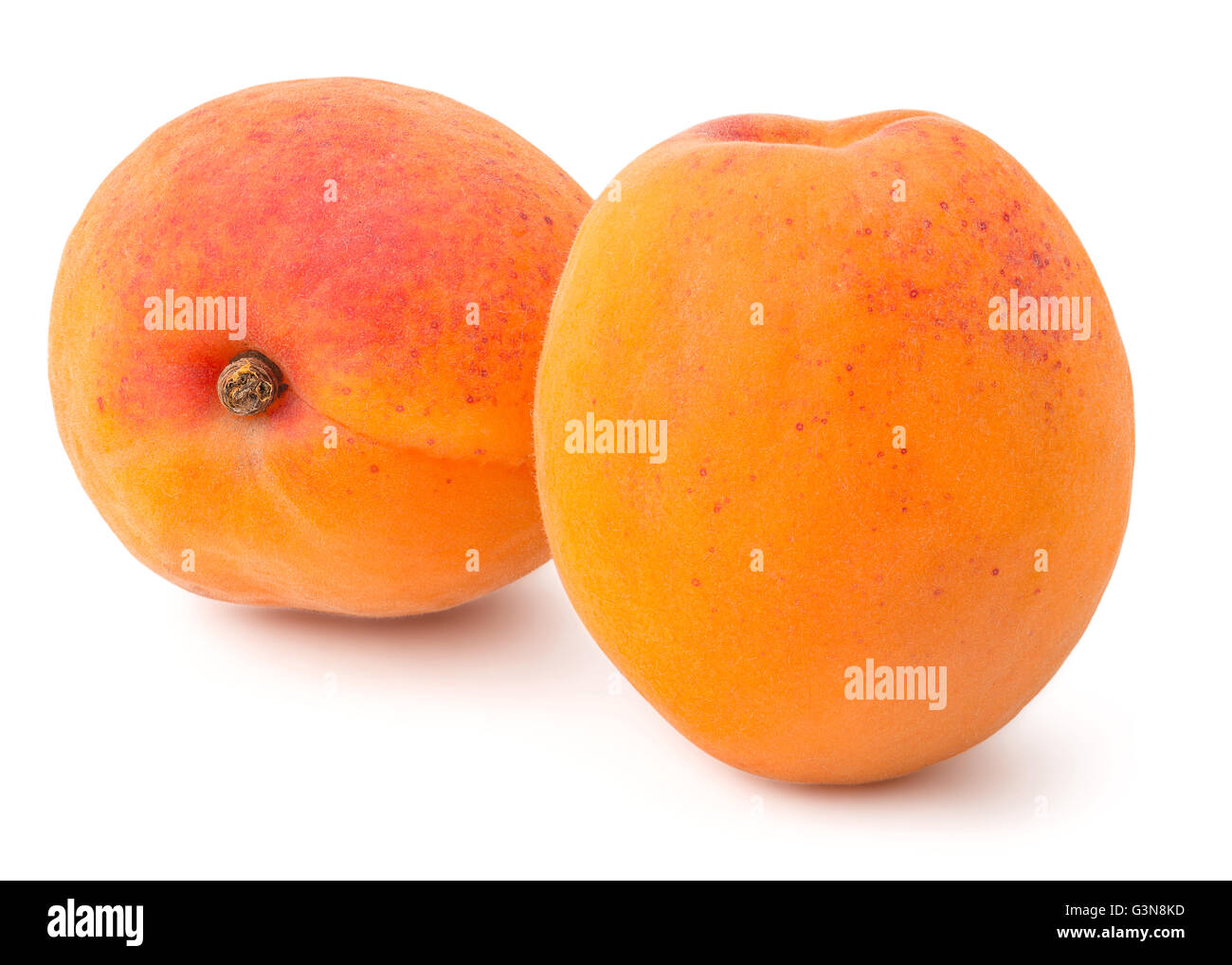 Fresh Yellow Apricot Isolated on White Background in Full Depth of ...