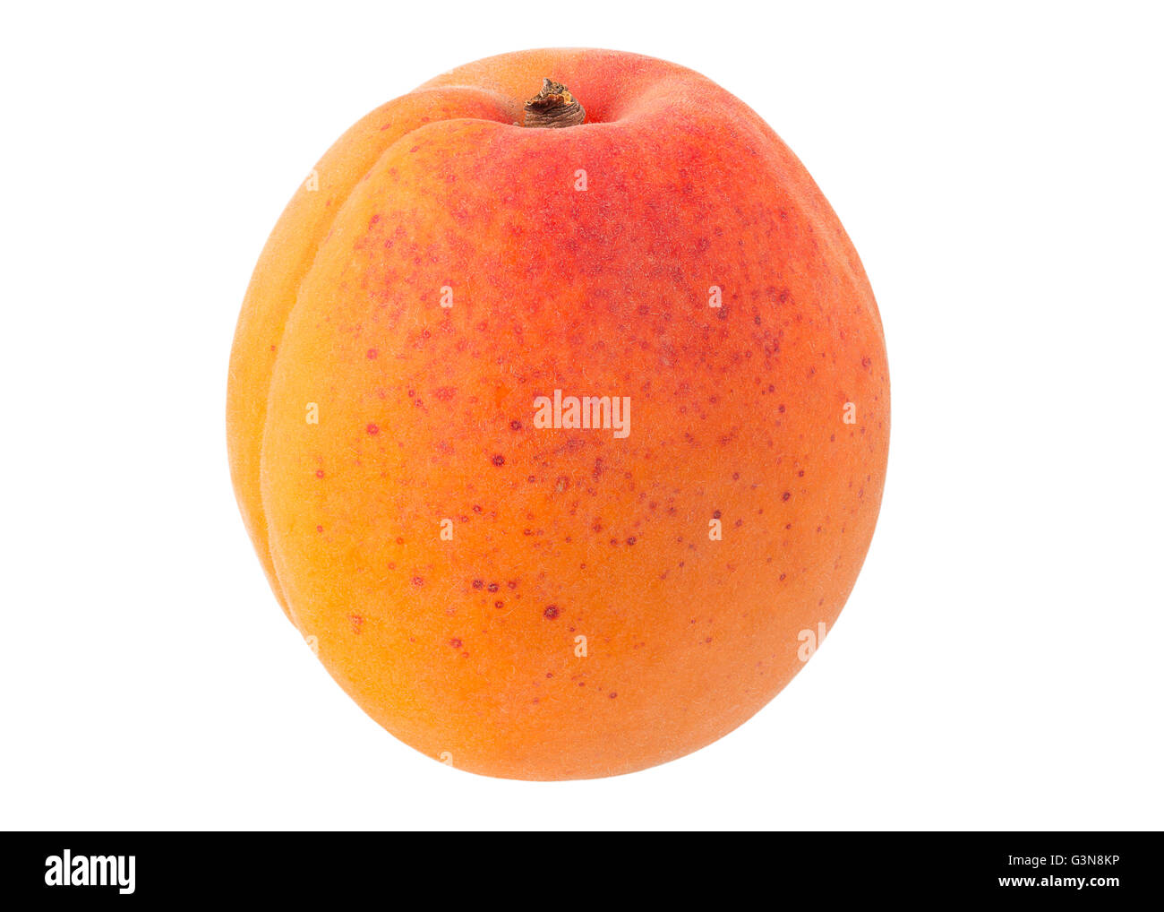 Fresh Yellow Apricot Isolated on White Background in Full Depth of ...