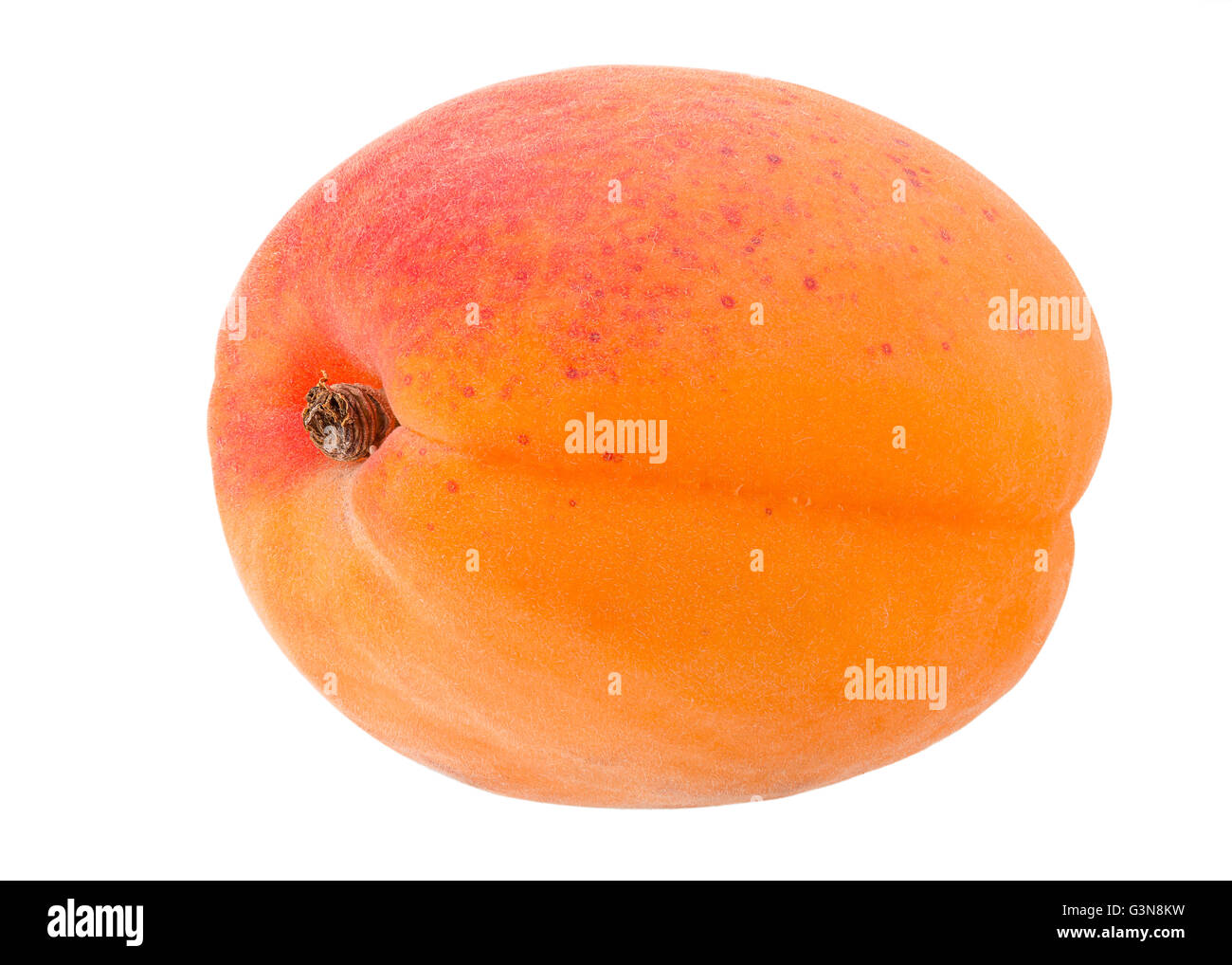 Fresh Yellow Apricot Isolated on White Background in Full Depth of ...