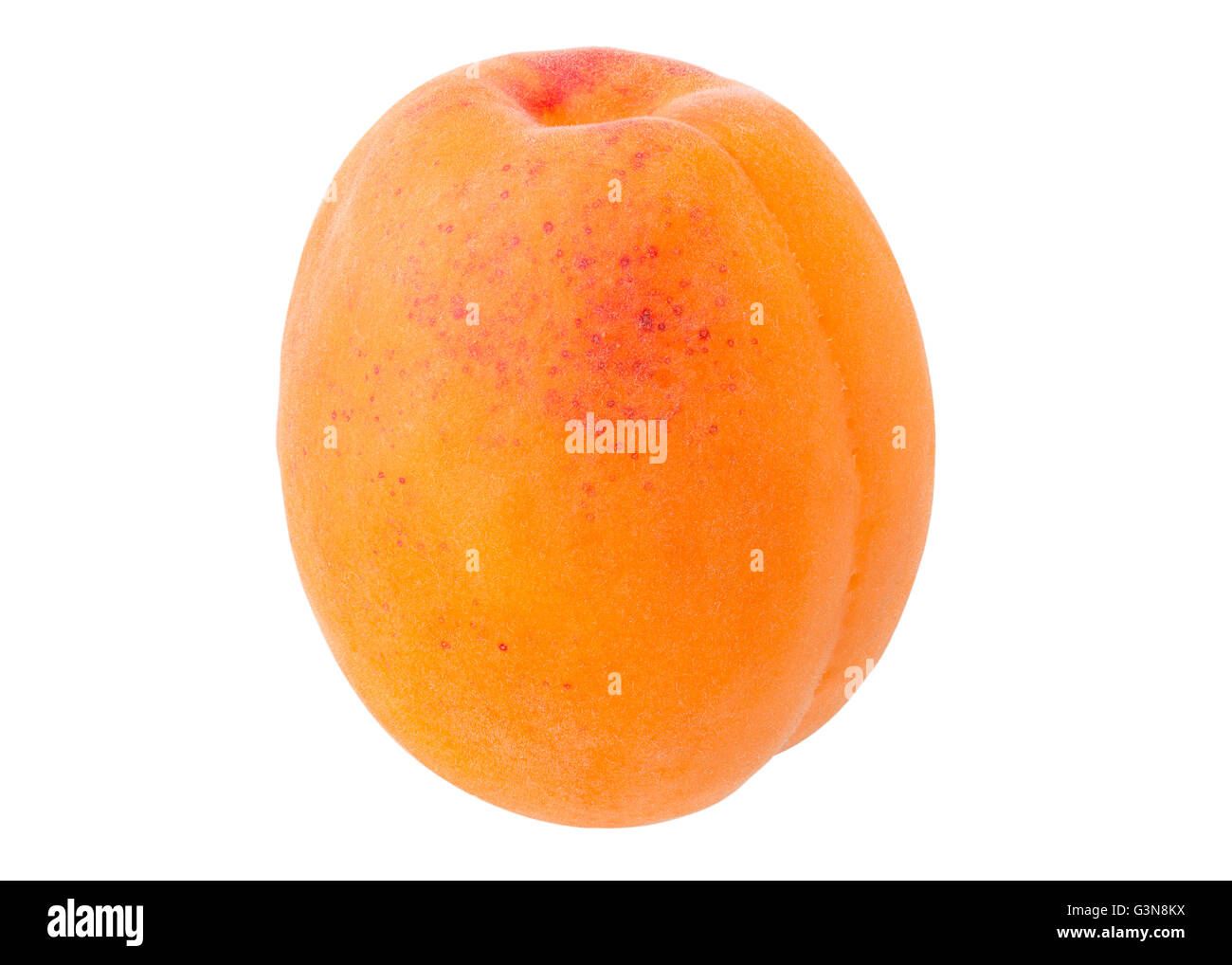 Fresh Yellow Apricot Isolated on White Background in Full Depth of ...