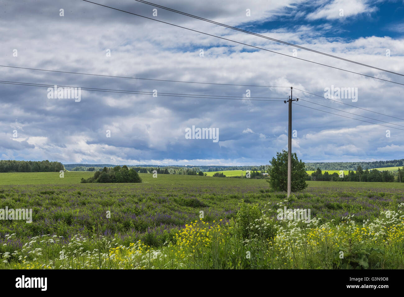 Landscape with storm clouds in the countryside in spring Stock Photo ...