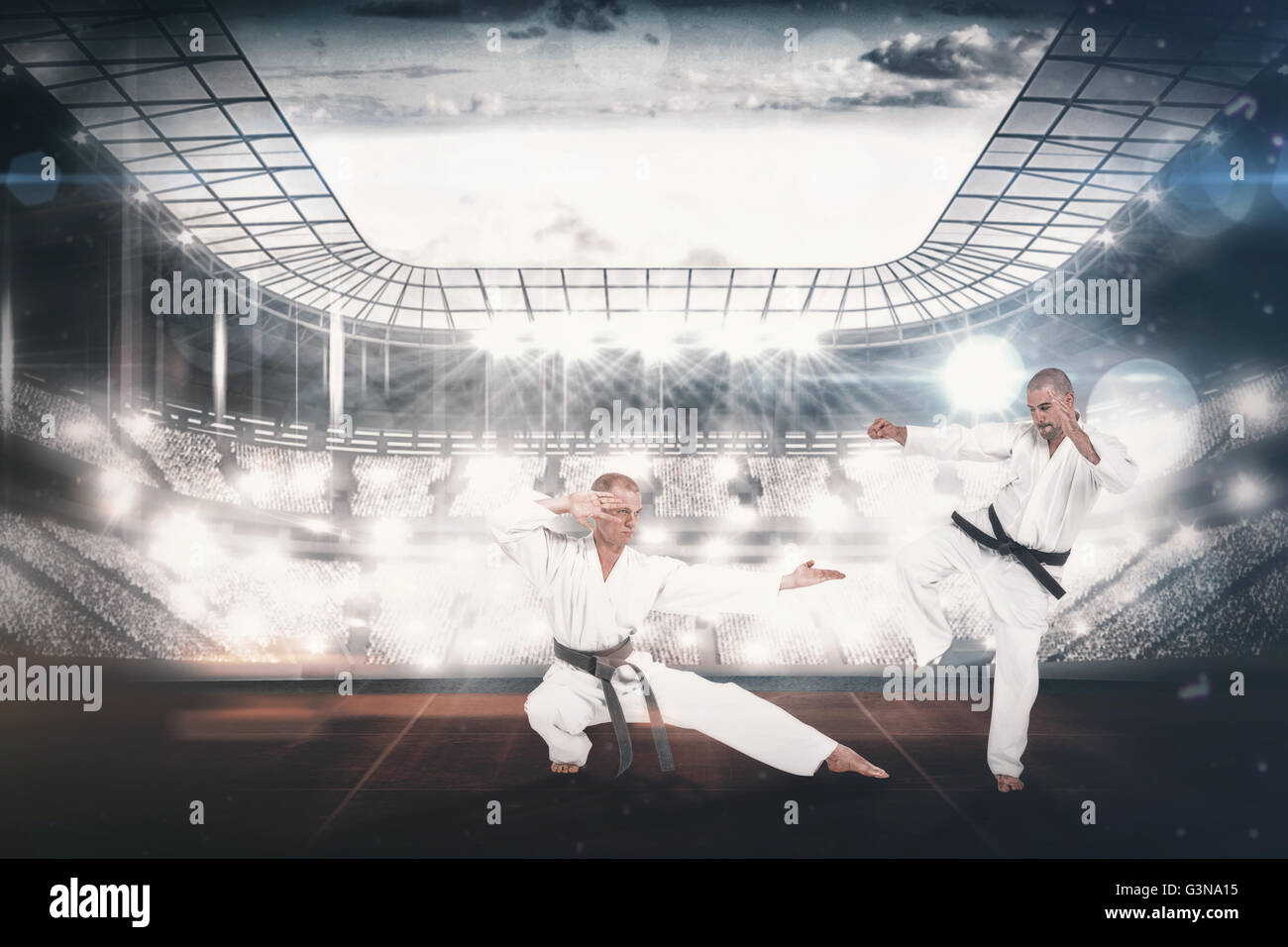 Fighter performing karate stance against overhead view of playing field ...