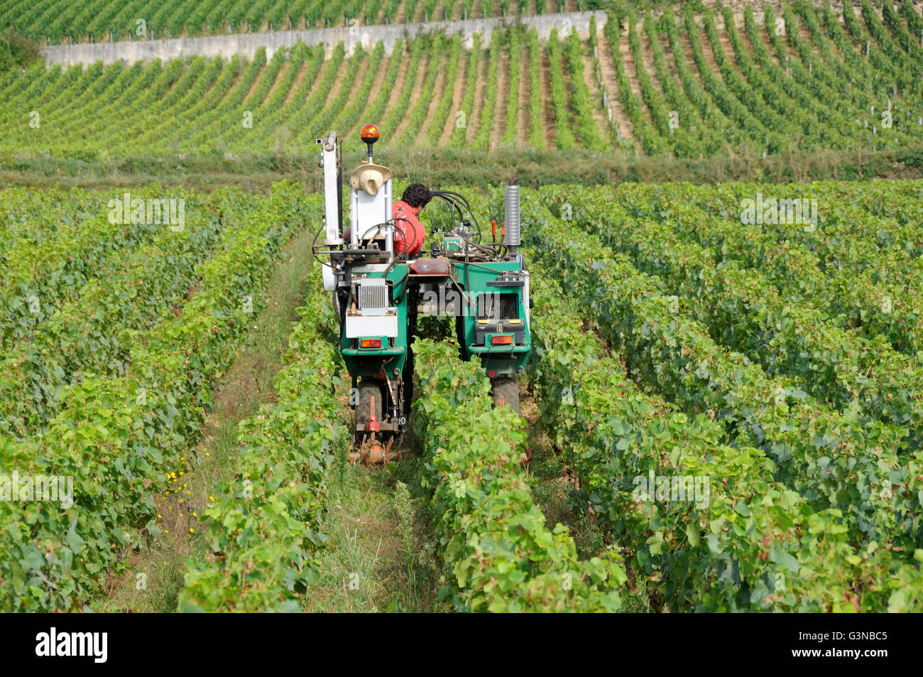Vineyard tractor hi-res stock photography and images - Alamy