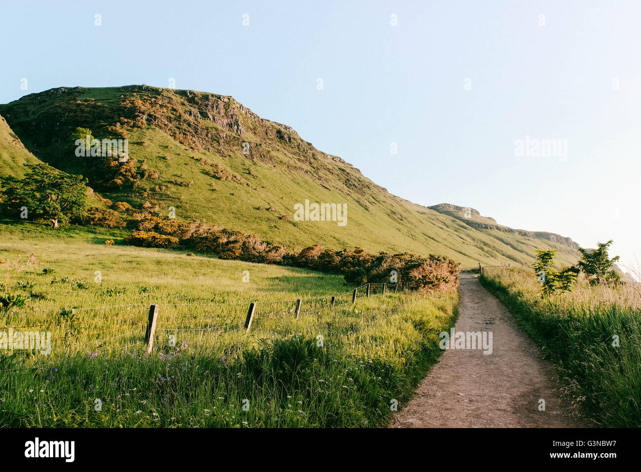 Summer evening in the countryside hi-res stock photography and images ...