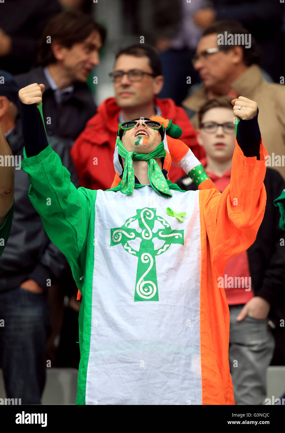 A Republic of Ireland fan in the stands during the UEFA Euro 2016 ...