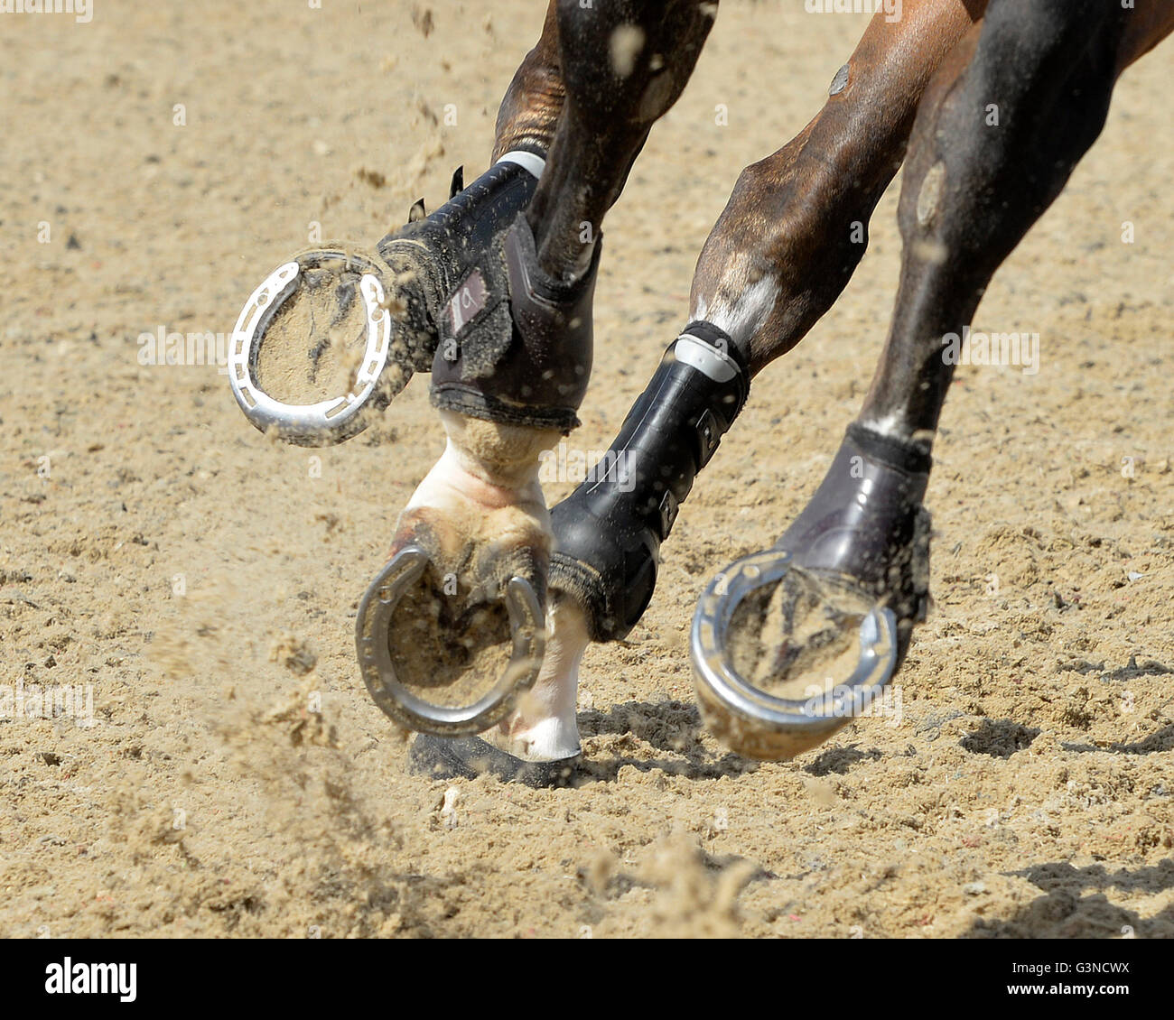 Horses Hooves U.K Stock Photo - Alamy