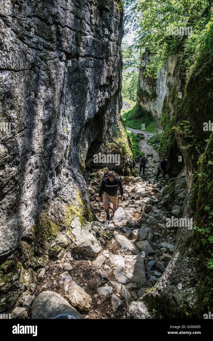 Trow Gill limestone gorge near the village of Clapham in the North ...