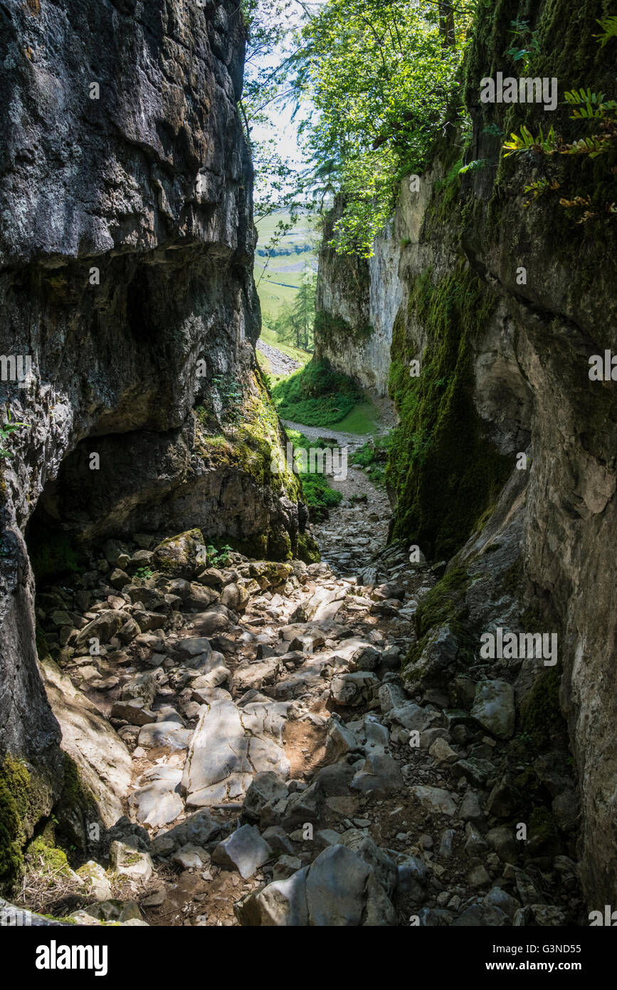Trow Gill limestone gorge near the village of Clapham in the North ...